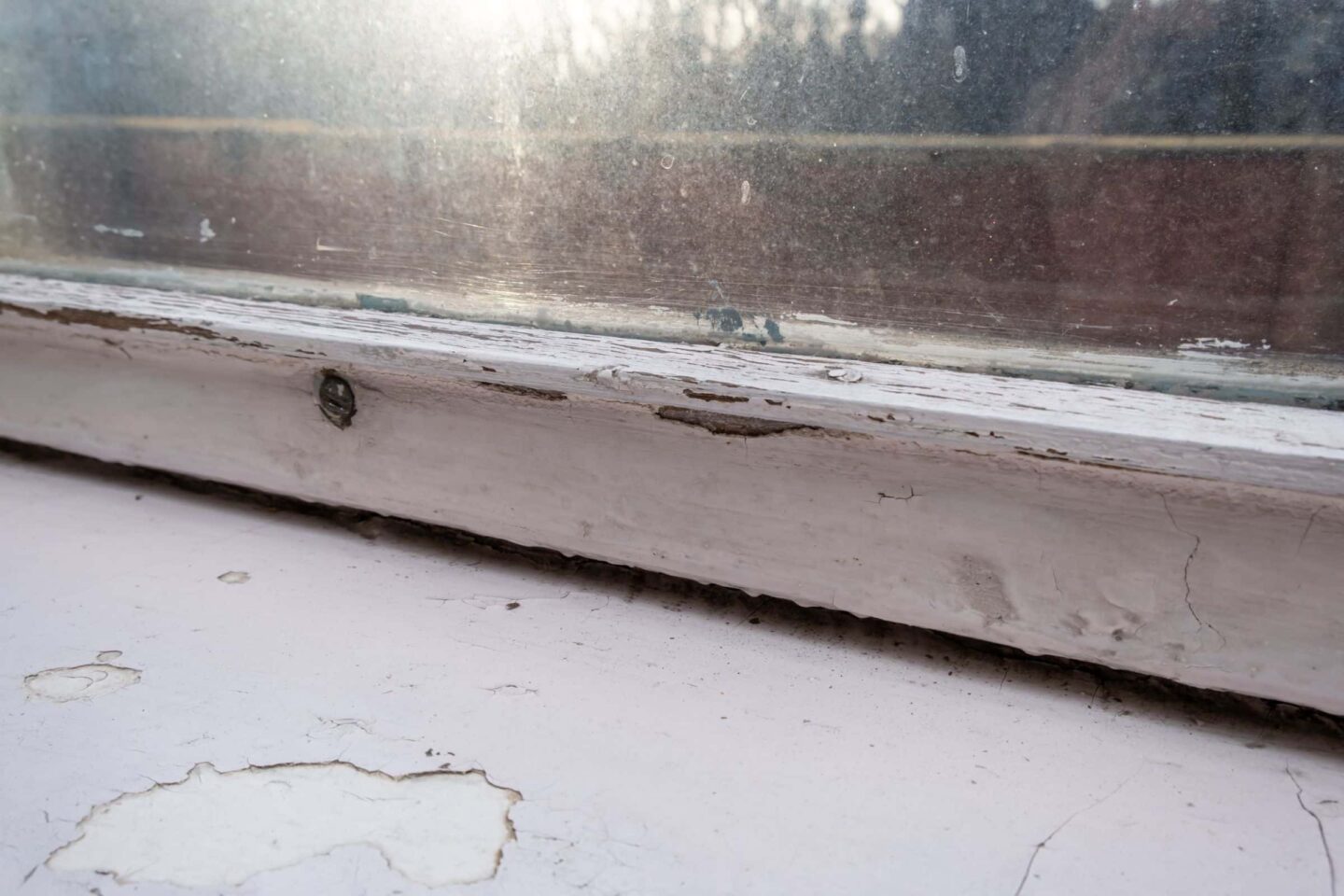 Signs Your Windows are Ready to Be Replaced - Carl's Fencing, Decking ...